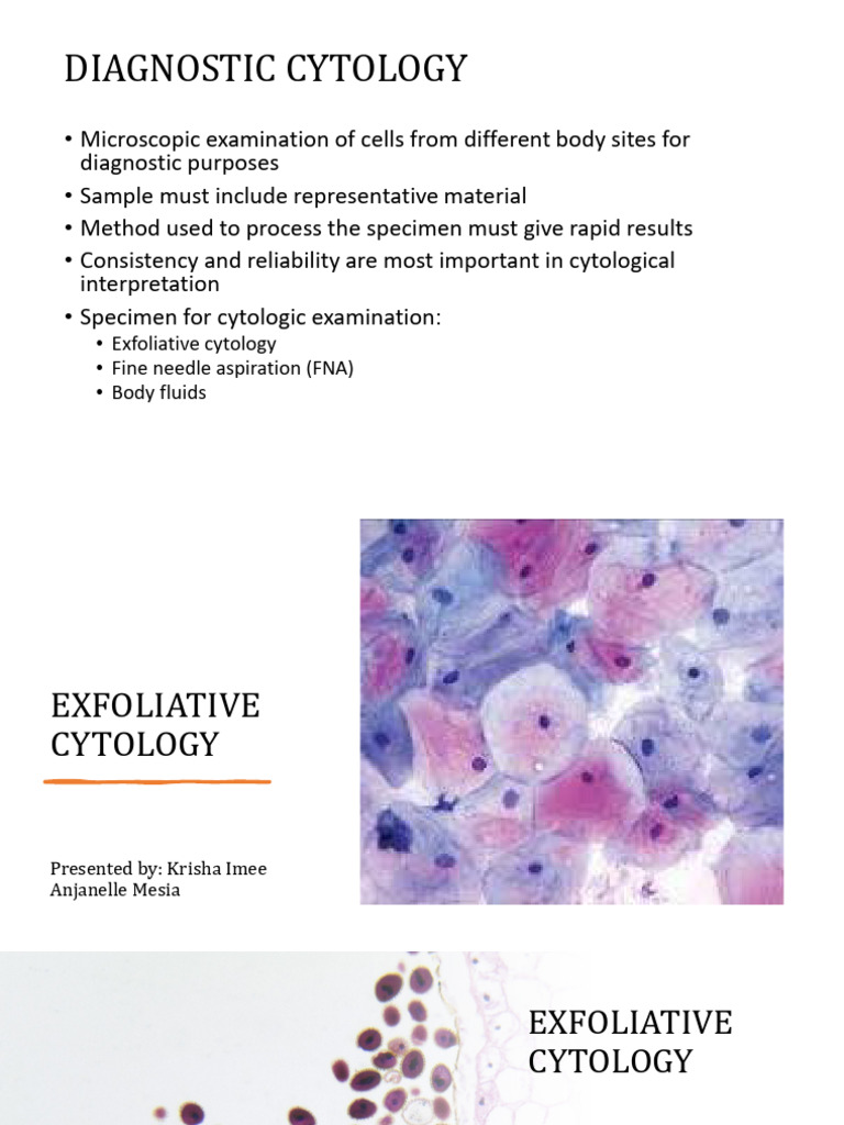 EXFOLIATIVE CYTOLOGY | Download Free PDF | Cytopathology | Medical ...