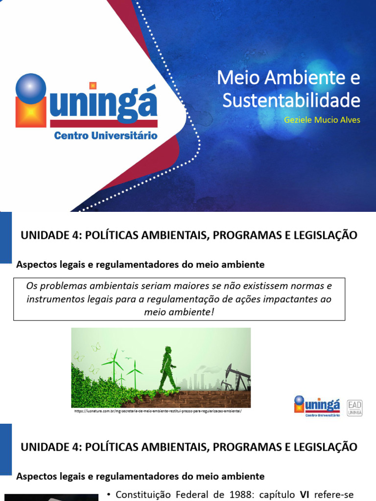 Meio Ambiente Responsabilidade Social E Sustentabilidade Slides Vii