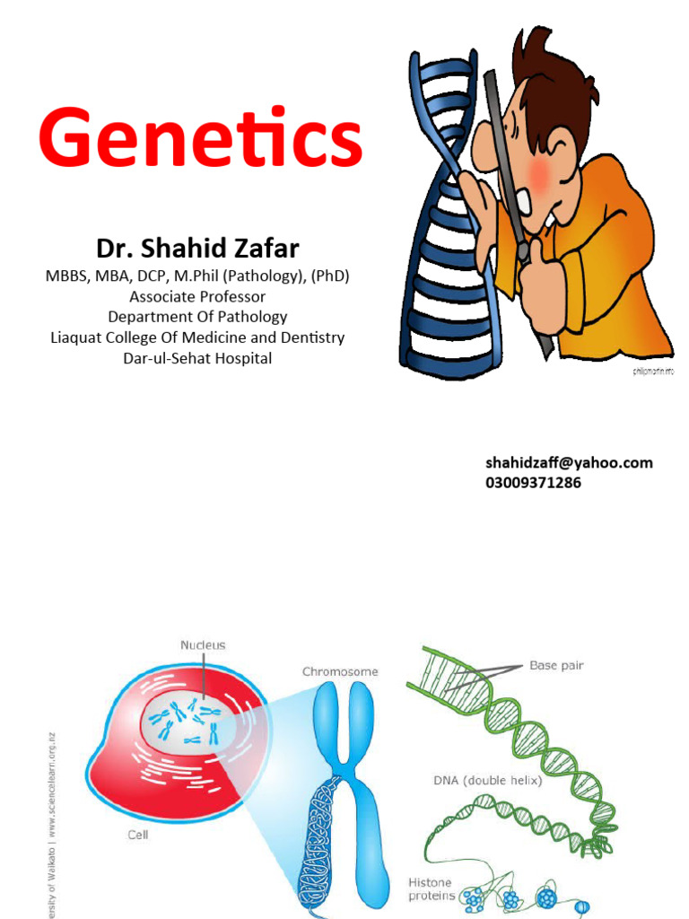 Genetics | PDF | Dominance (Genetics) | Allele