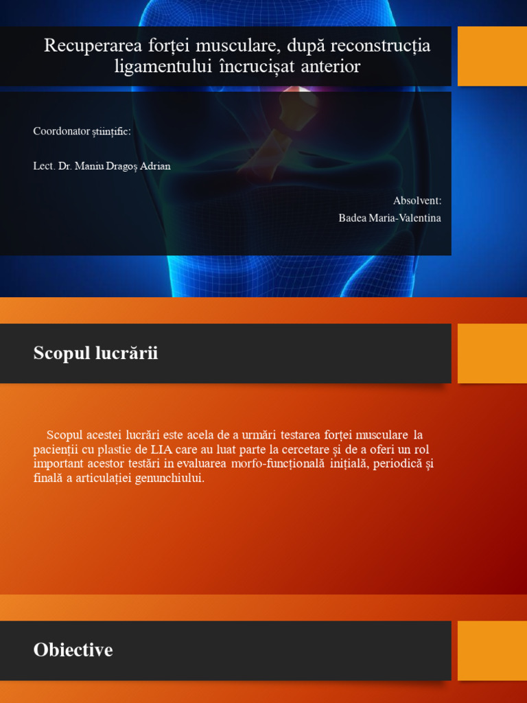 Prezentare Licență Maria Badea | PDF