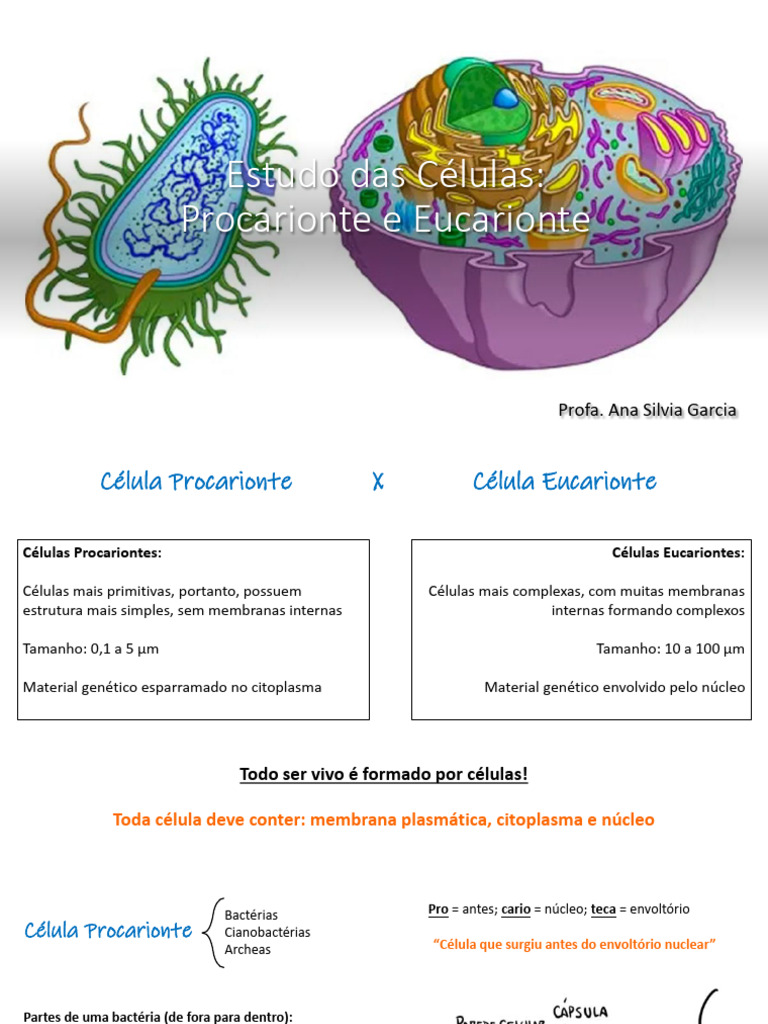 Aula 3 - Estudo Das Células - Procarionte e Eucarionte | PDF | Célula (Biologia) | Organelo