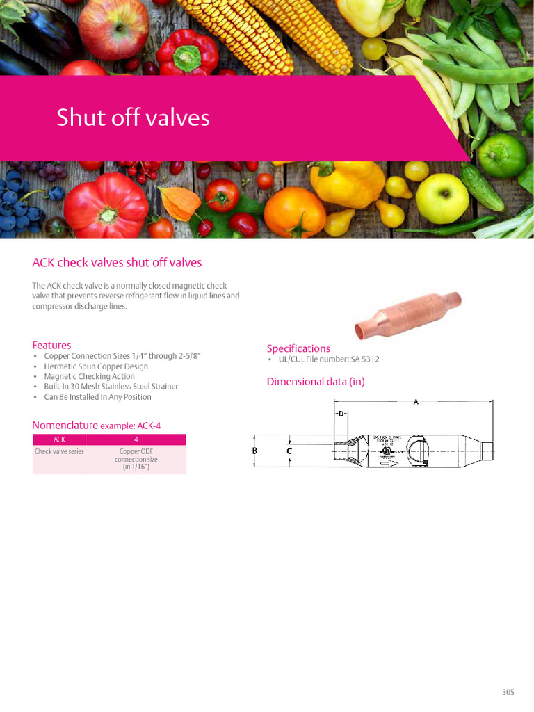ACK Check Valve Emerson | PDF | Valve | Chemical Engineering
