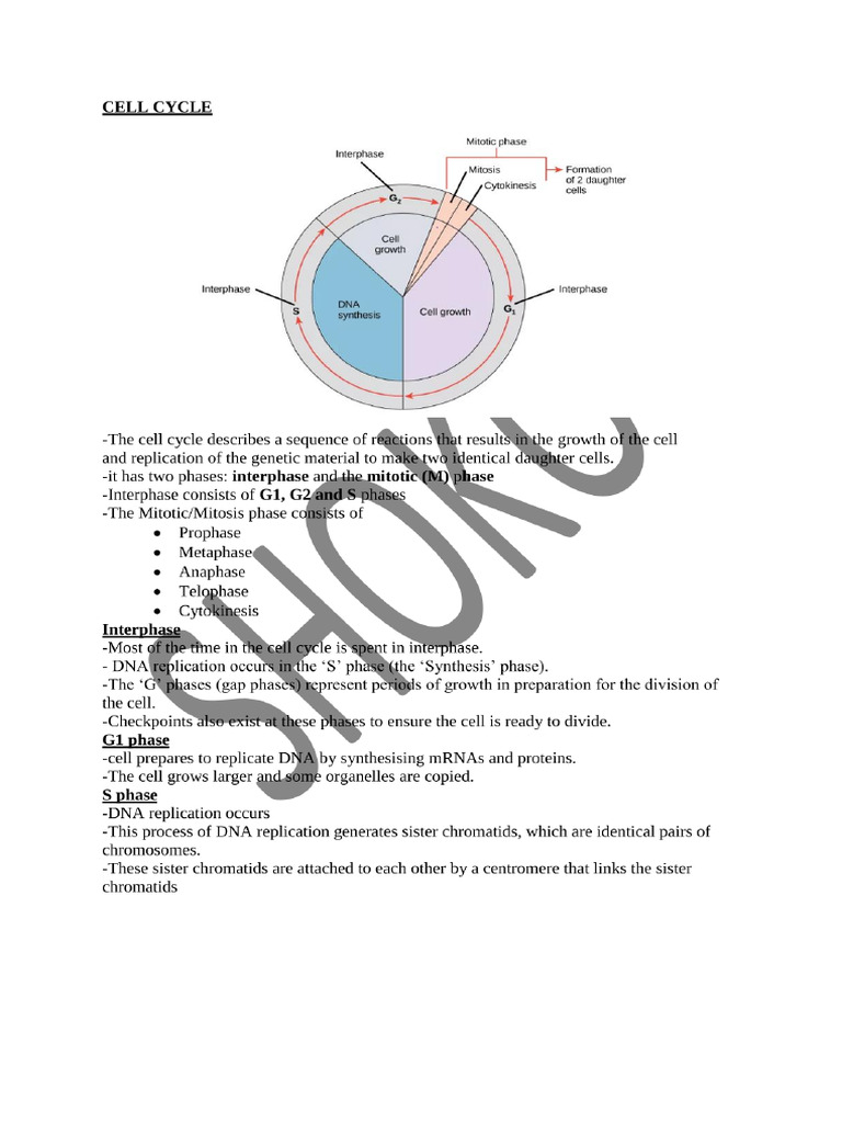 Cell Cycle Pdf