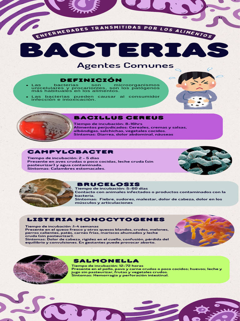 Infografía de Las Bacterias | PDF | Diarrea | Carne