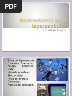 Gastrectomía Parcial | PDF | Estómago | Abdomen