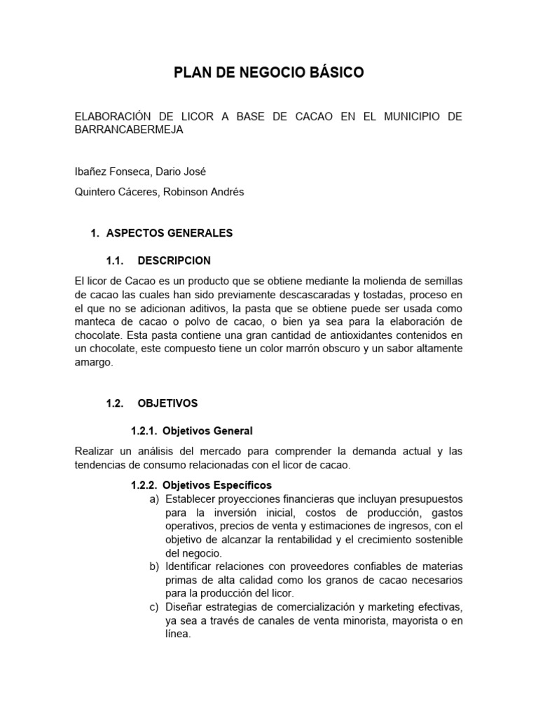Plan de Negocio Básico | PDF | Marketing | Economias