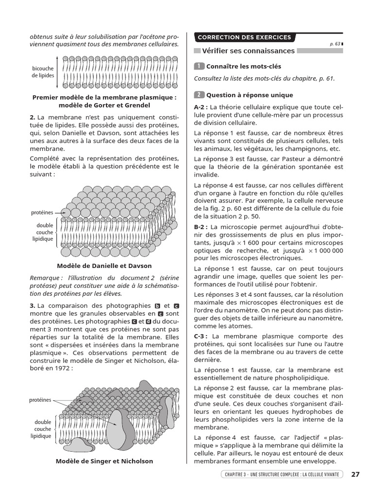 Corrigé Exos Chapitre Cellule | PDF | Membrane cellulaire | Cellule (Biologie)