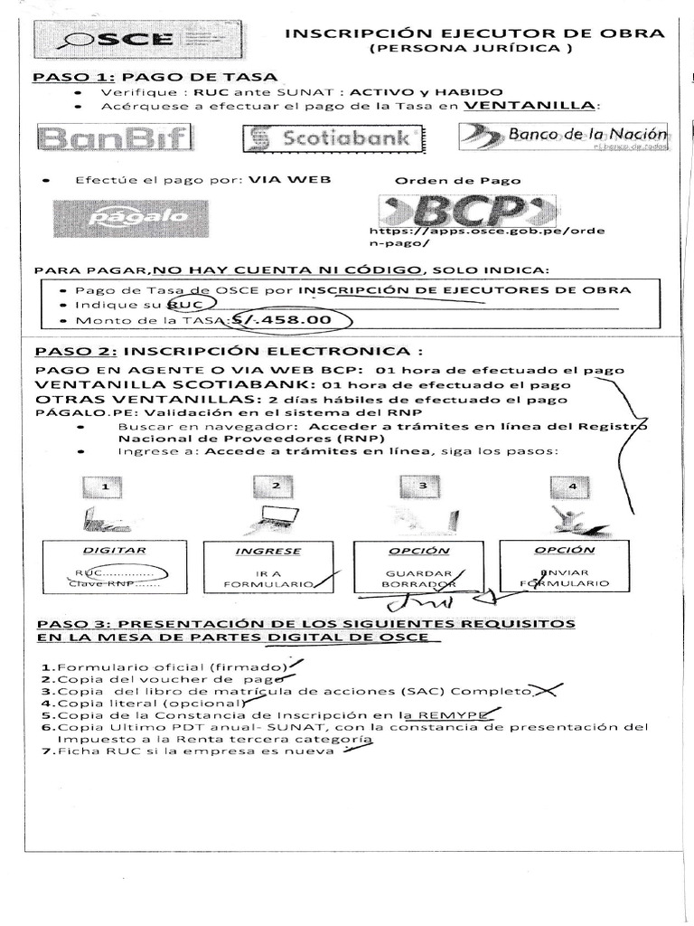Instrucciones RNP - Ejecutor | PDF
