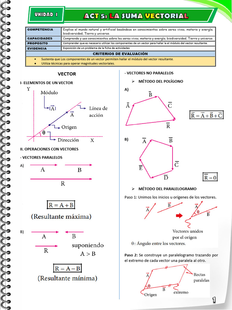 D5º Act 5-Cyt-U1 | PDF