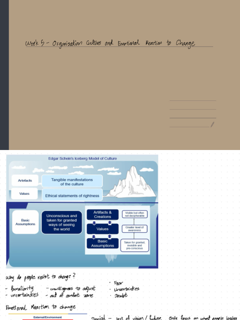 Understanding Emotional Reactions to Change | PDF