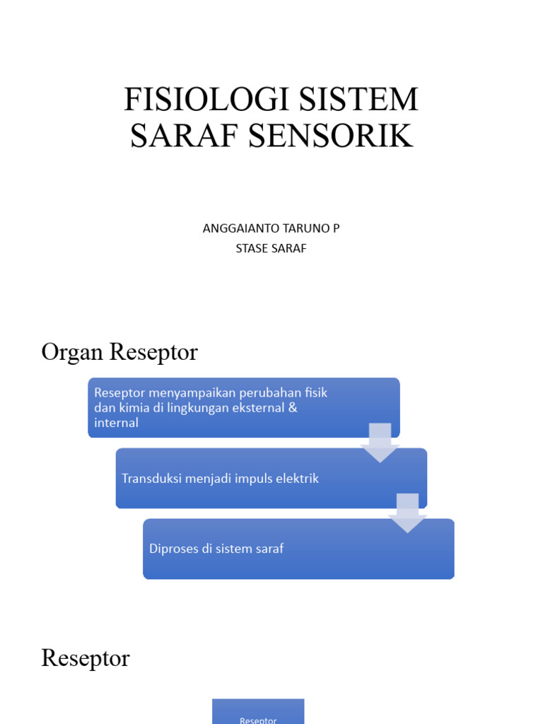 Pemeriksaan Sensorik | PDF