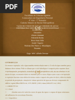 Apendice-D - Cálculo Do IQA CETESB 2022 | PDF | Qualidade da água | Água