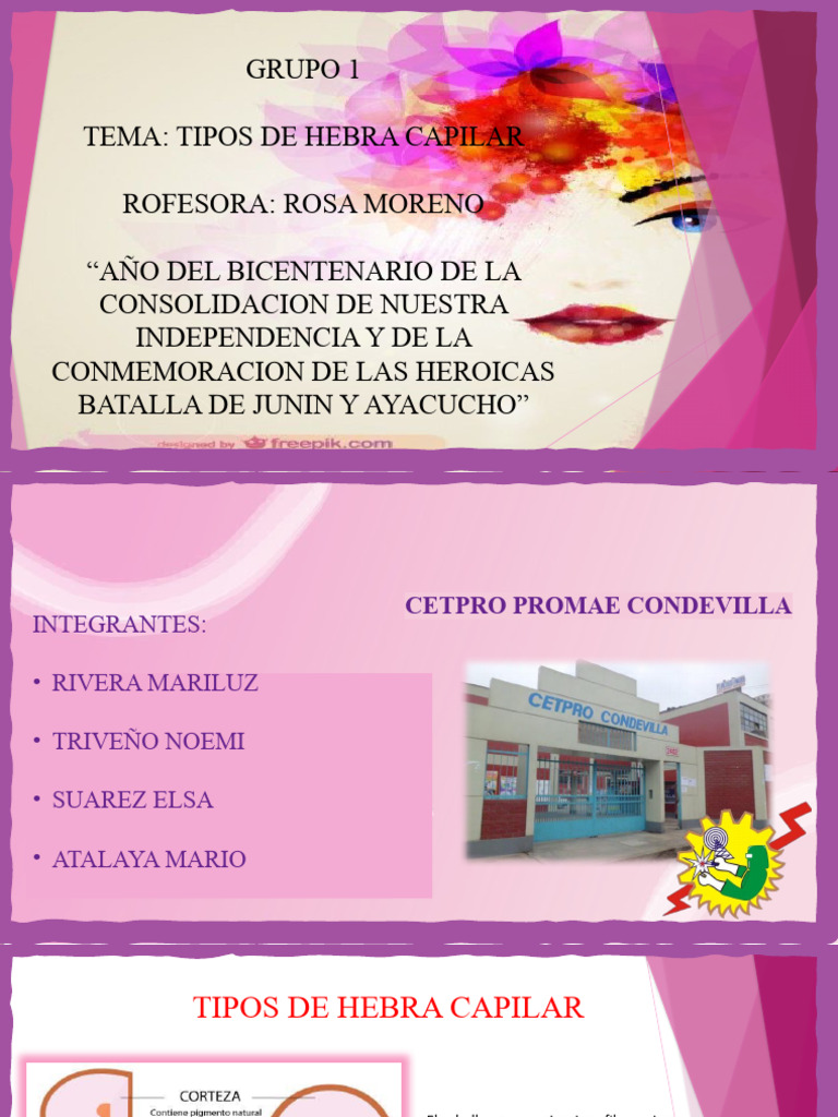 Tipos de Hebra Capilar - Final | PDF