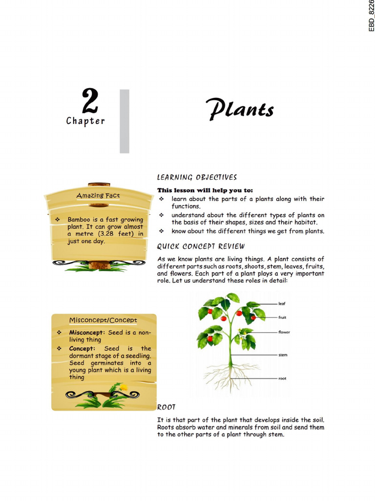 Nstse grade 2 Plants | PDF