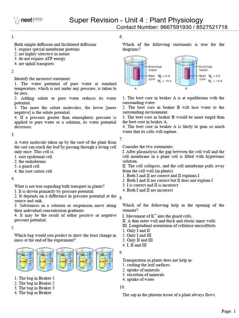 SUPER REVISION - Unit 4 - Plant Physiology | PDF | Adenosine ...