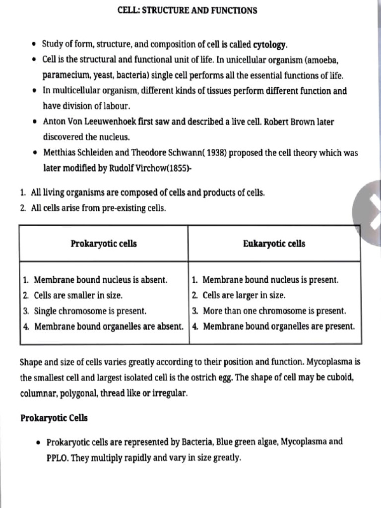 Later Modified by Rudolf Virchow (1855) : Discovered The Nucleus | PDF | Cell (Biology ...