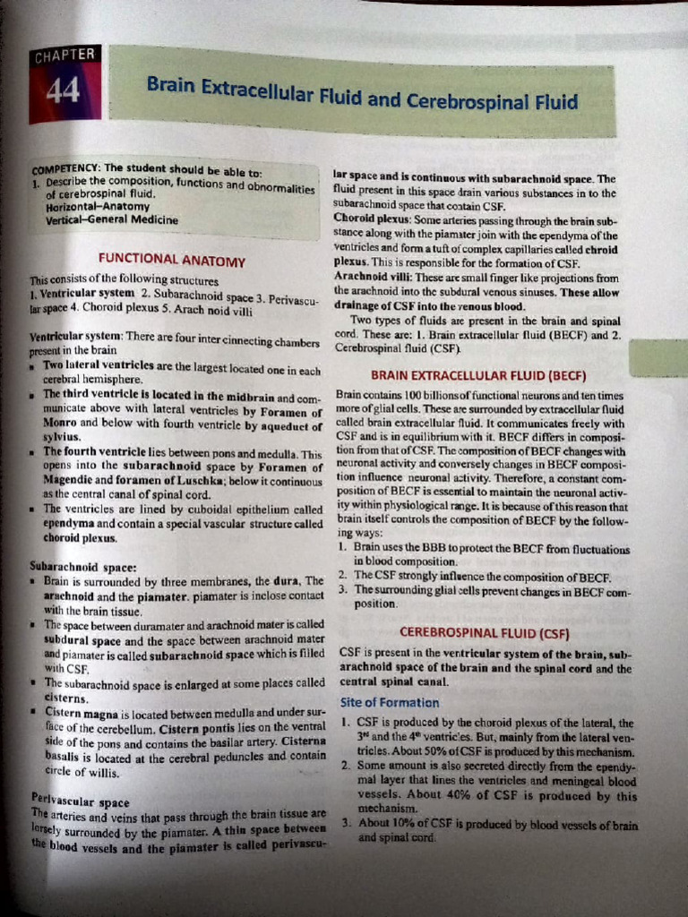 CSF, BBB, Sleep | PDF | Cerebrospinal Fluid | Anatomy