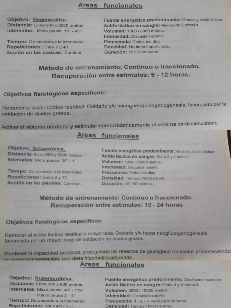 Areas Funcionales | PDF