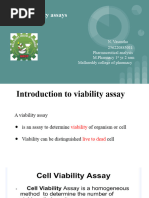 MTT Assay Protocol | PDF