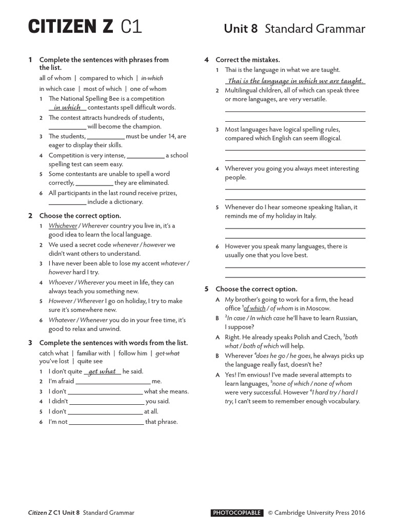 Grammar Standard - Unit 08 | PDF | Multilingualism | Spelling