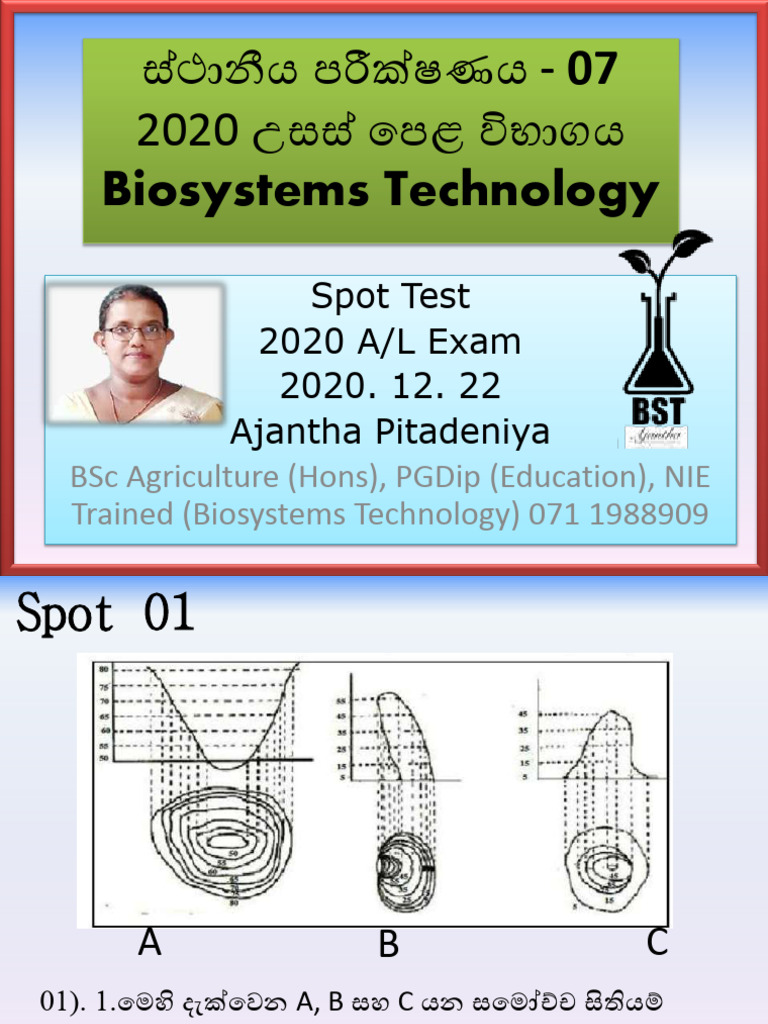 Spot 7 | PDF
