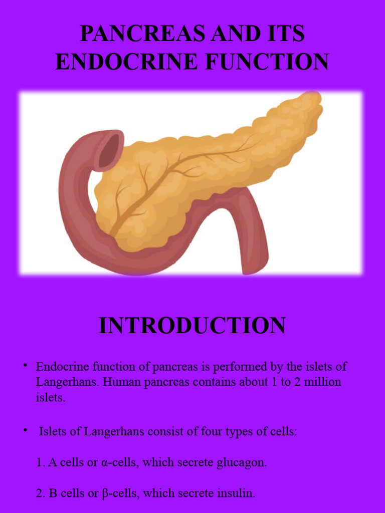 Pancreas and Its Endocrine Function | Download Free PDF | Insulin ...