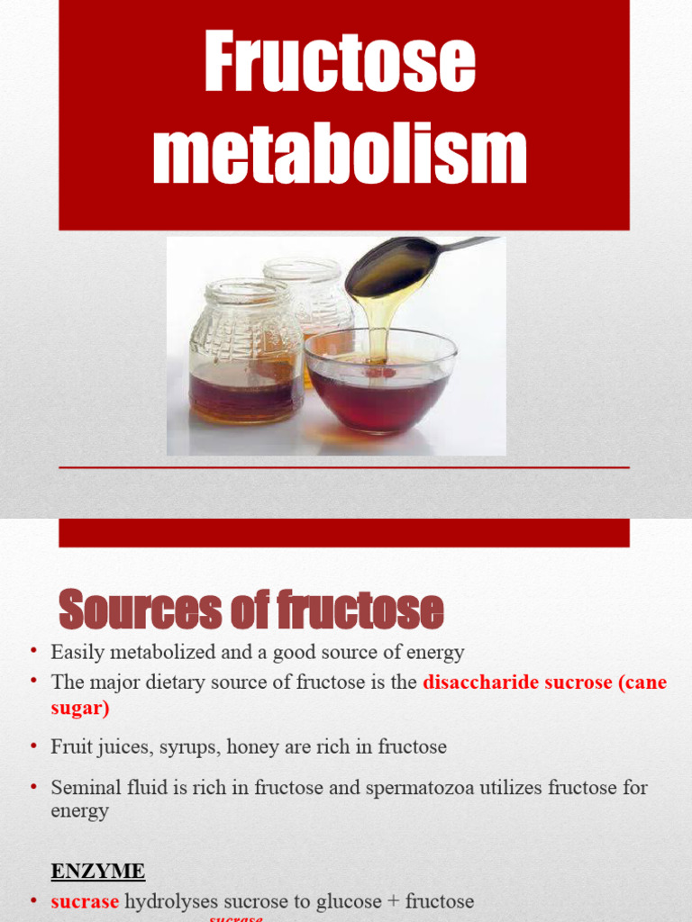Fructose Metabolism | PDF | Fructose | Glucose