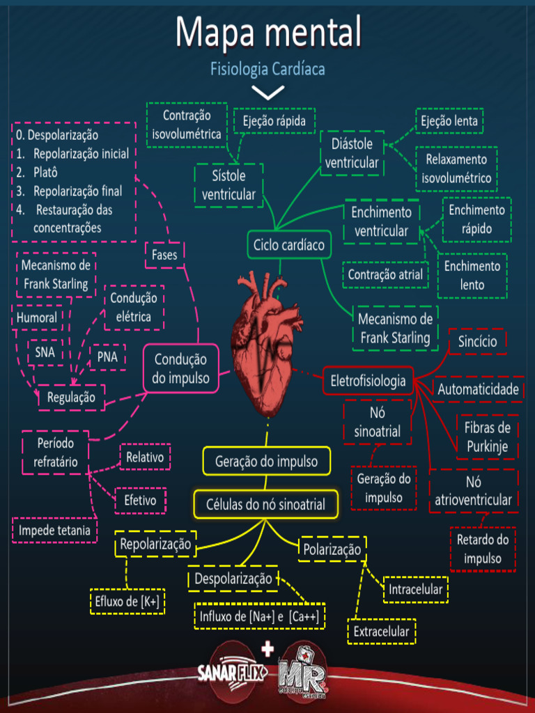 Mapa Mental Fisiologia Cardíaca | Download grátis PDF | Potencial de ...