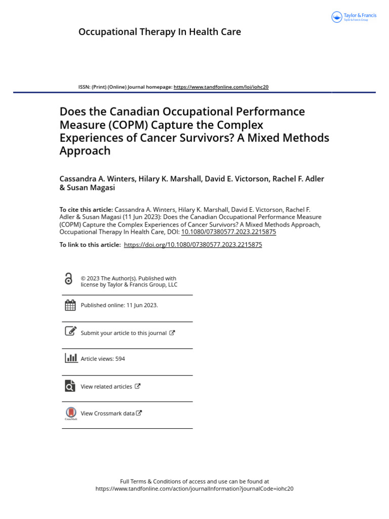Does The Canadian Occupational Performance Measure COPM Capture The ...