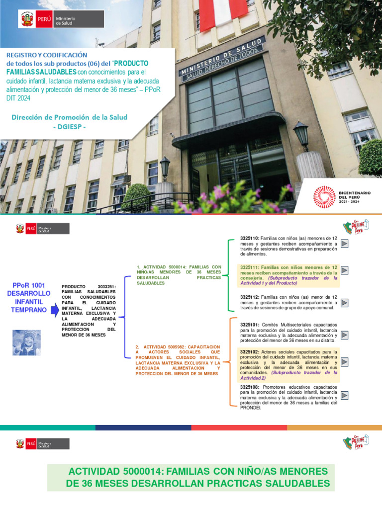 PPT REGISTRO HIS Producto Familia PPoR DIT - 07 Mar 2024 | PDF ...