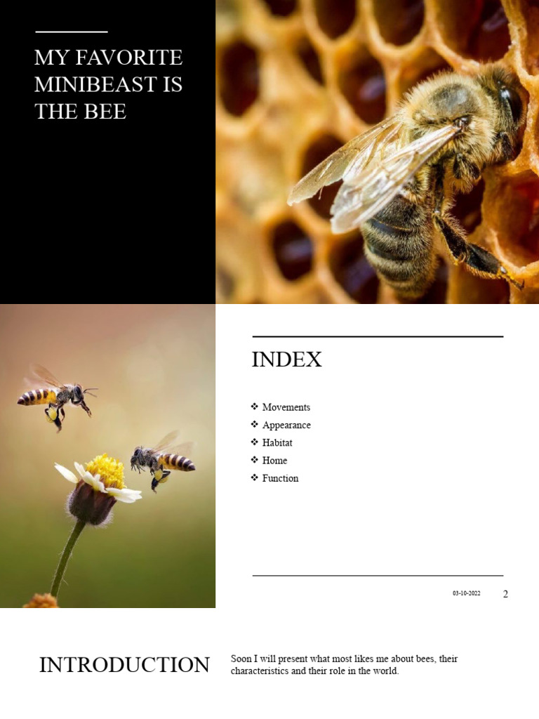 My favorite minibeast is the bee | PDF | Bees | Pollination