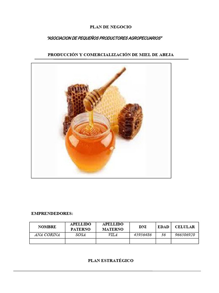 Plan de Negocio Miel de Abeja | PDF | Gestión estratégica | Economias