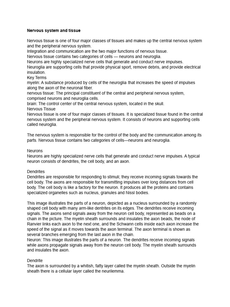 Nervous System and Tissue | PDF | Axon | Neuron