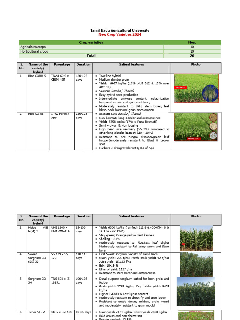 TNAU New Crop Varieties 2024 Guide | PDF | Rice | Agriculture