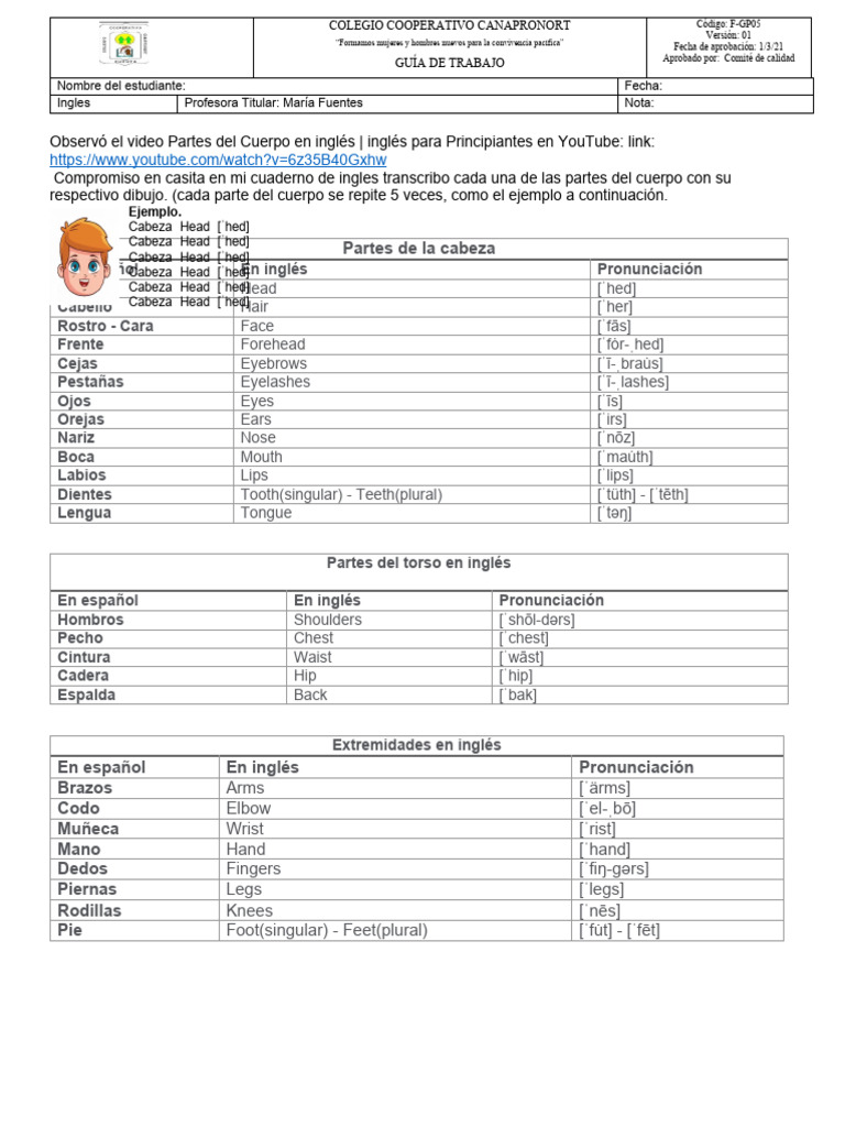 Guía De Ingles Partes Del Cuerpo Pdf Anatomía Humana