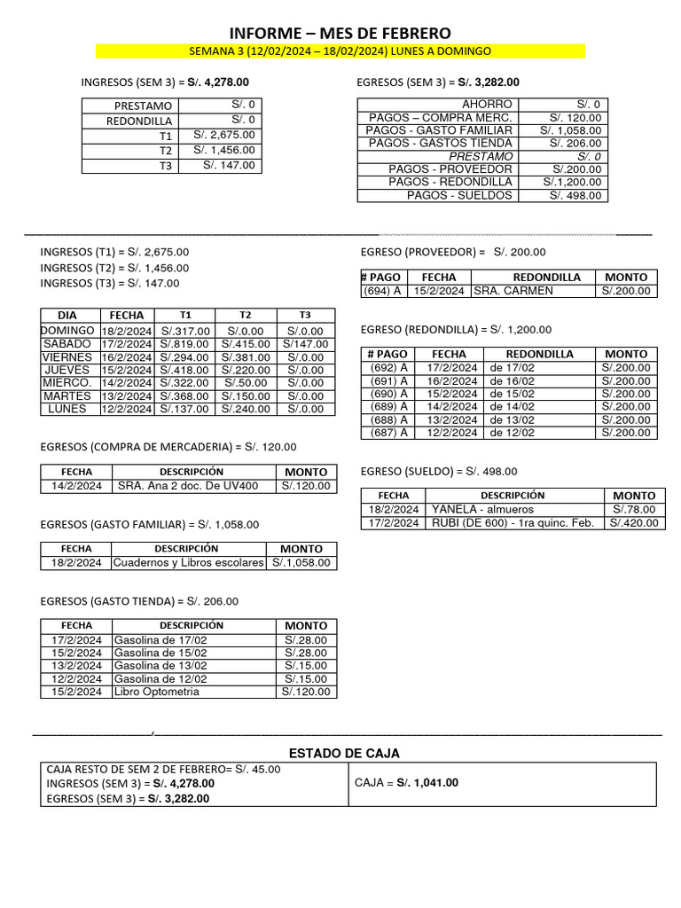 Informe Sem 3 Febrero - Presentar | PDF