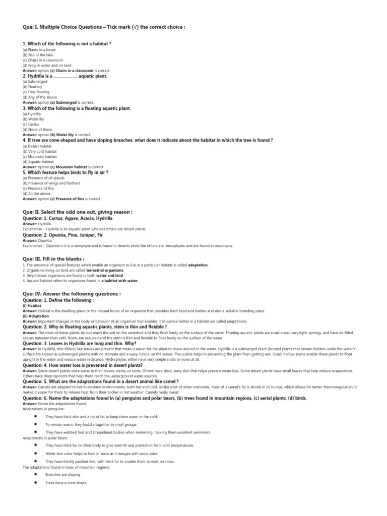 Bio CH 5 | Download Free PDF | Habitat | Leaf