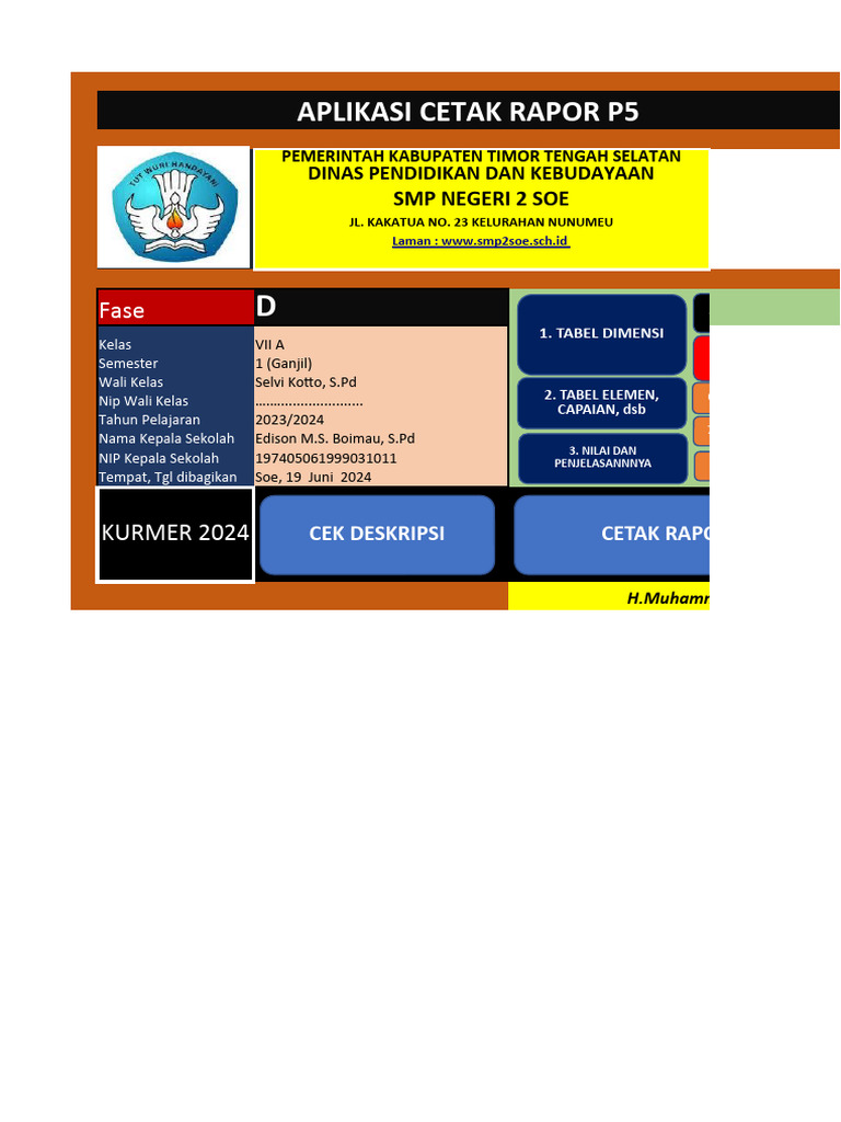 RAPORT P5 FASE D .XLSM | PDF