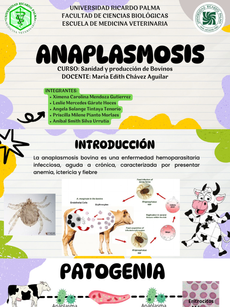 Anaplasmosis Bovina: Diagnóstico y Tratamiento | PDF | Medicina CLINICA ...
