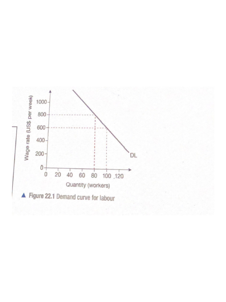 Demand Curve For Labour | PDF