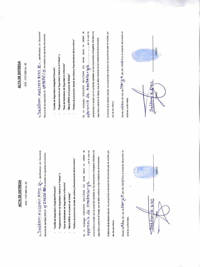 Documentos Saddam 1 | PDF