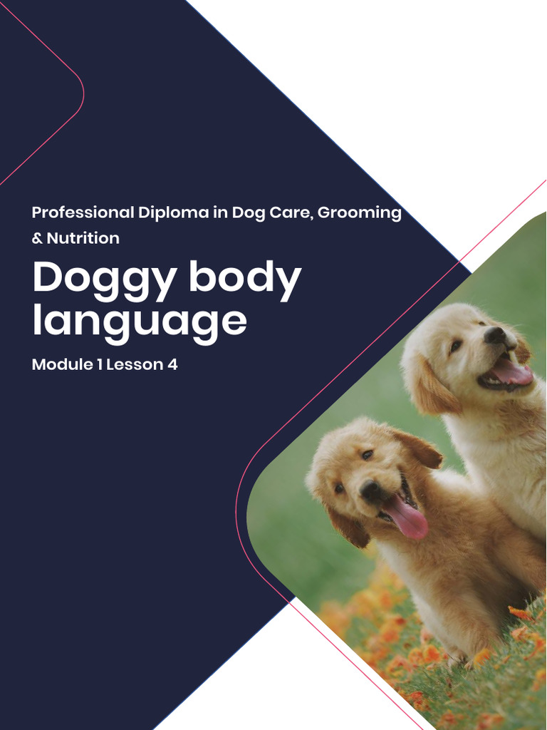 Dog Care Module 1 Lesson 4 Summary Notes | PDF | Dogs | Visual Impairment