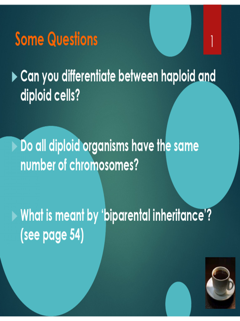 BIOL124-W5-AS-Celldivision-Meiosis | PDF | Meiosis | Ploidy