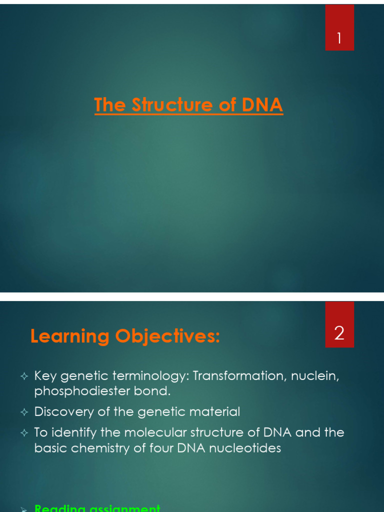 Biol124 W7 As Structure Of Dna Download Free Pdf Nucleotides Dna