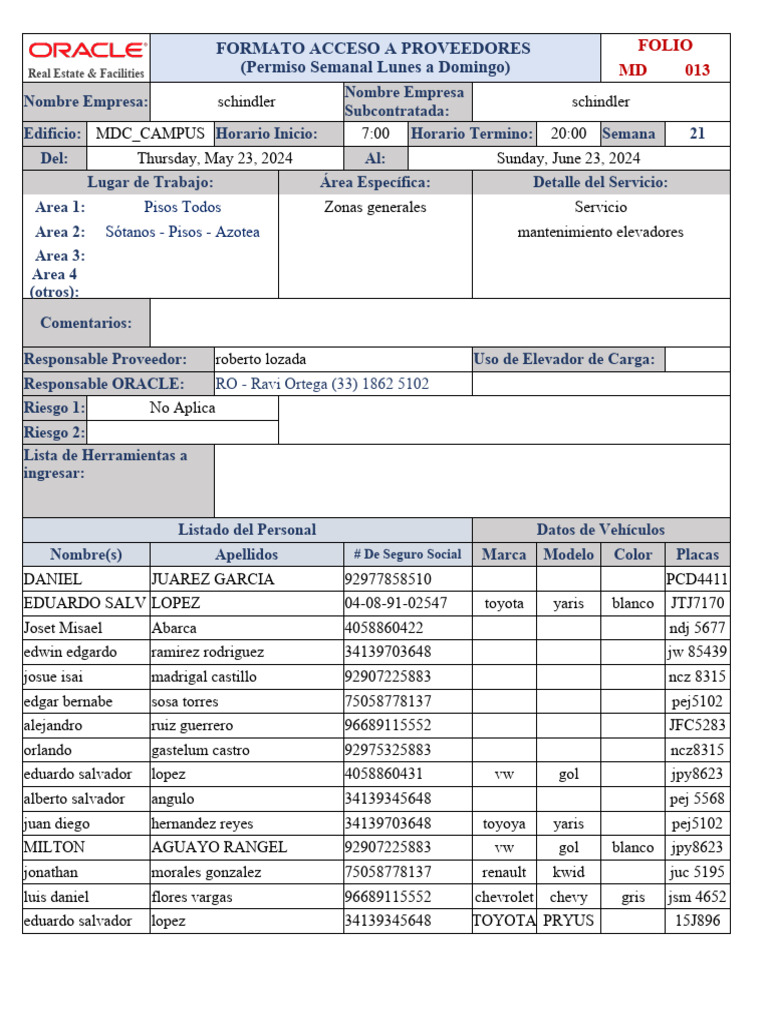 FORMATO ACCESO ORACLE-schindler 23.06.24 | PDF