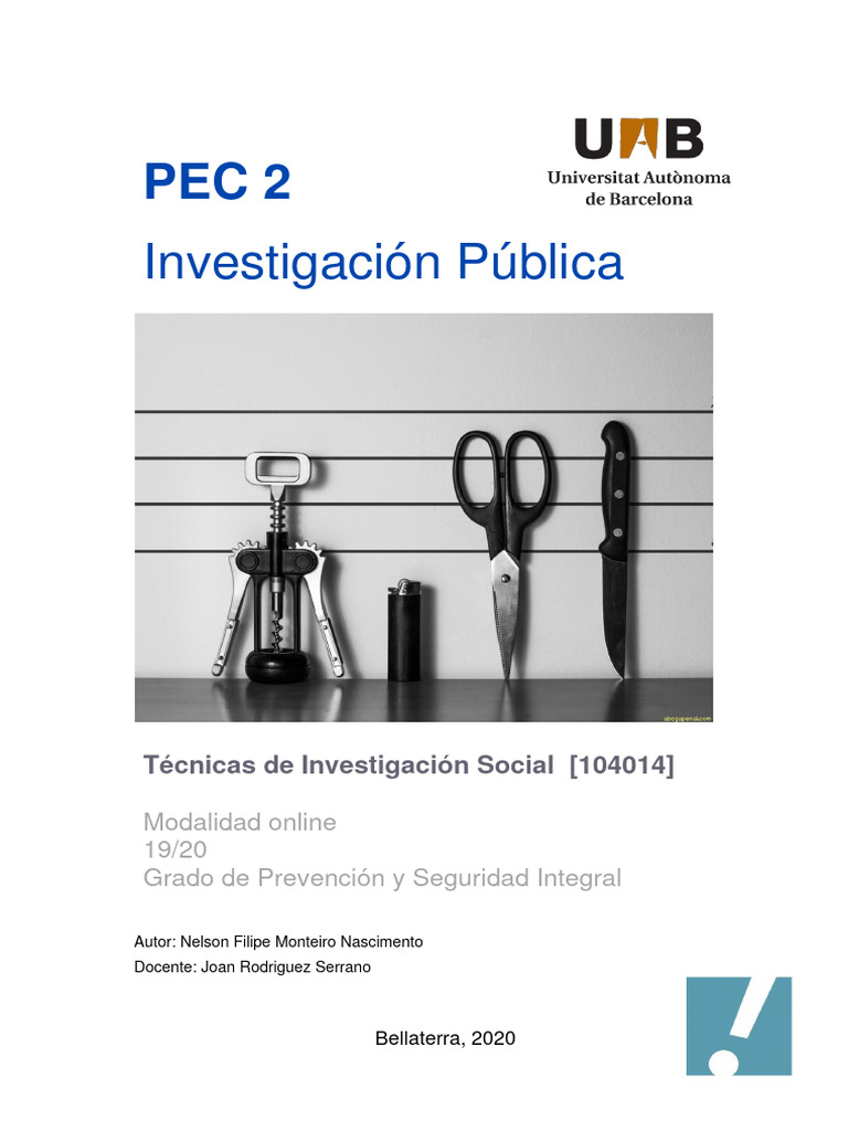 PEC 2 Nelson Nascimento | PDF | Policía | Robo