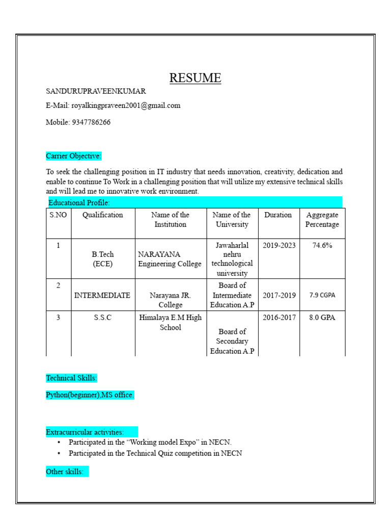 praveen resume | PDF