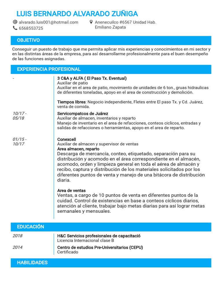 Ejemplo CV Luis Alvarado | PDF