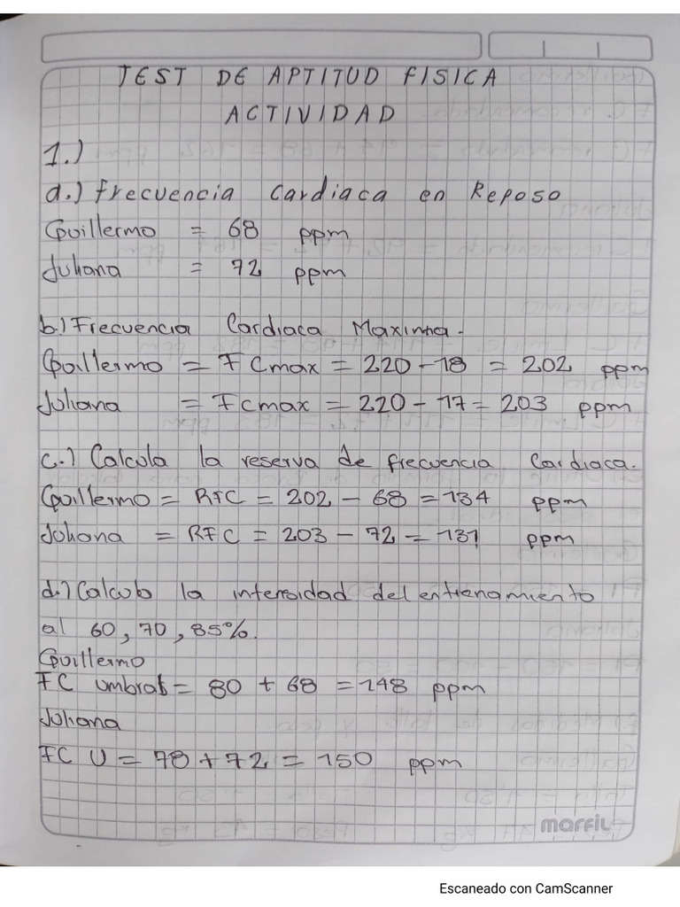 Test de Aptitud Fisica | PDF