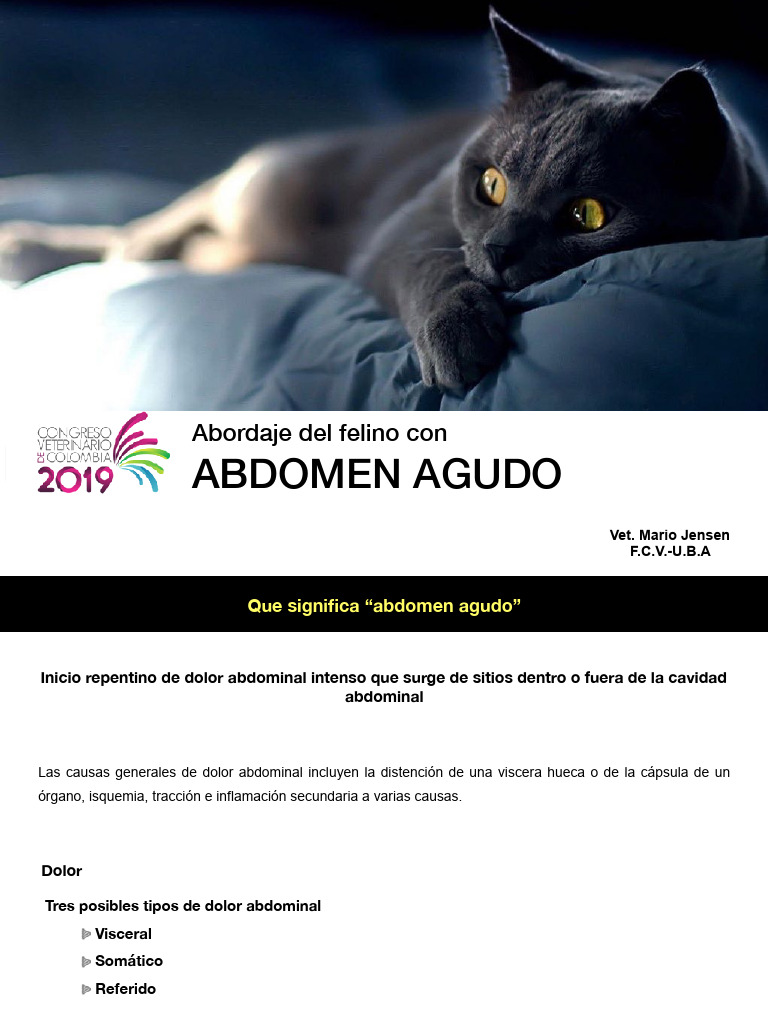 ABORDAJE AL FELINO CON ABDOMEN AGUDO - Vet. Mario Jensen | PDF | Dolor ...